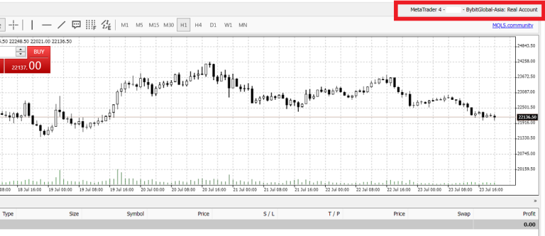 bybit MT4の使い方｜デモ口座でトレードテスト方法も紹介 | ビットコイン狂騒曲